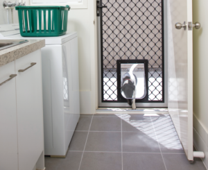 Security Door With Dog Door: Safe Pet Access Solutions - outlook security